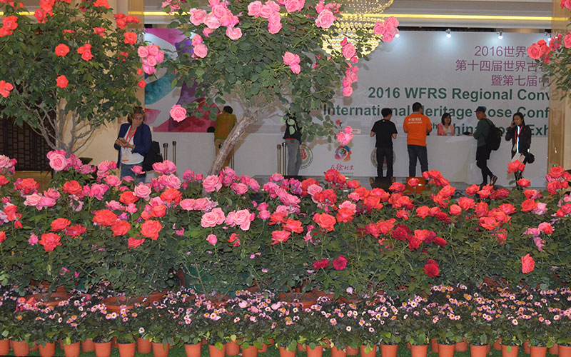 WFRS - The Rose Society UK